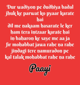 Hindi Shero Shayari Wallpaper Download - FinetoShine