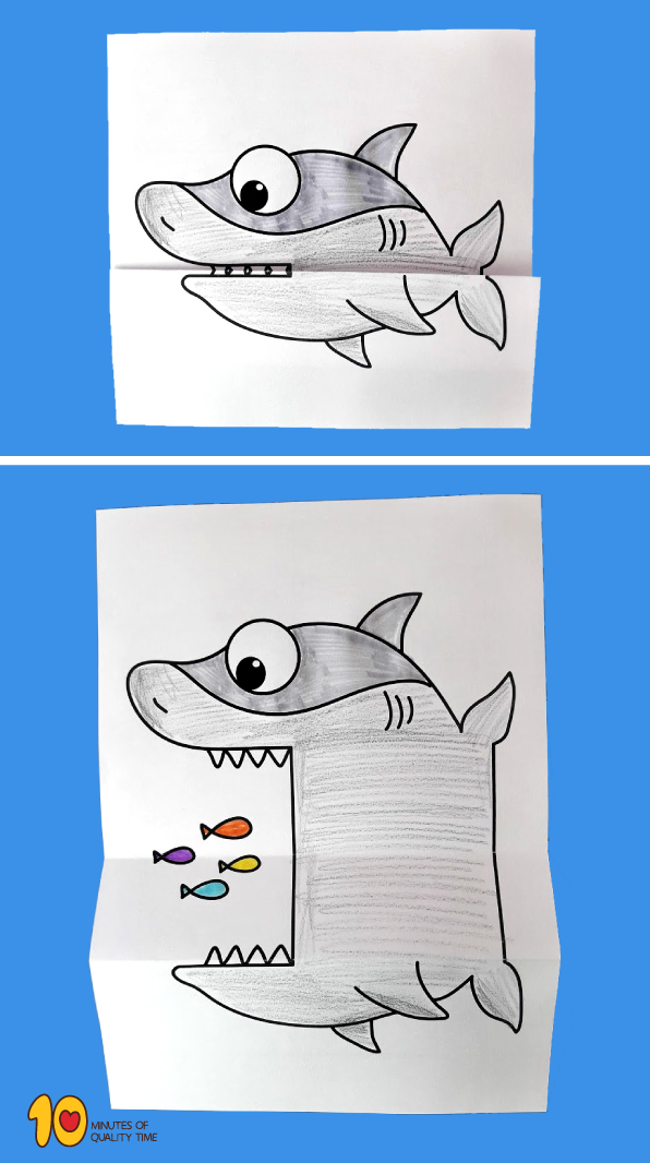 Surprise Folding Paper – Shark 2025 - FinetoShine