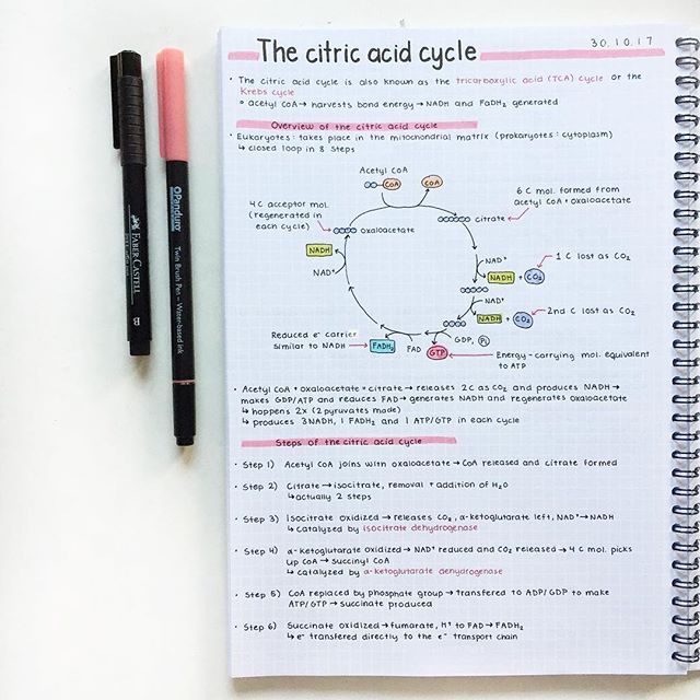 Let's Struggle Together 2023