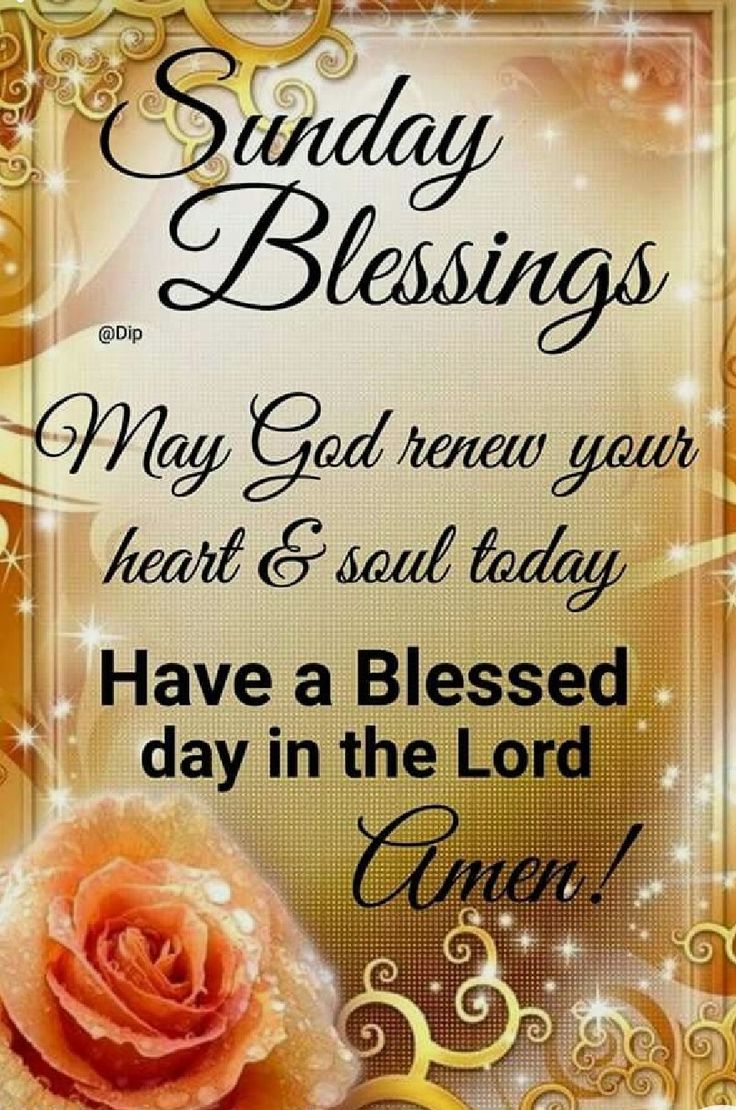 [100+ New] Good Morning African American Sunday Blessings