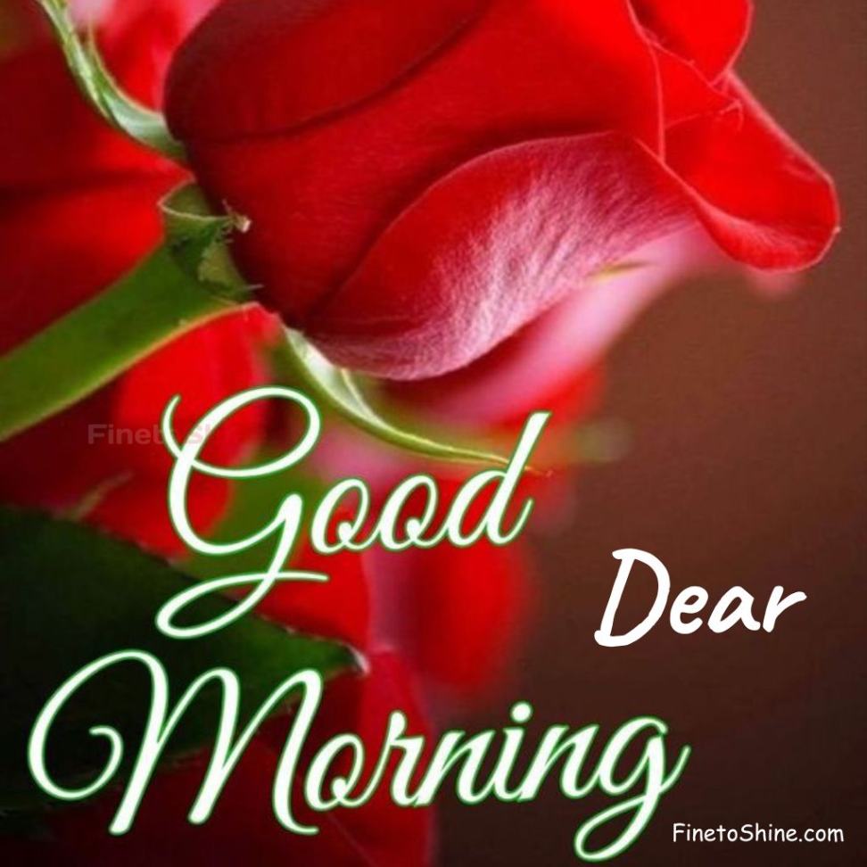 [100+ New] Good Morning Dear Images 2025 - FinetoShine