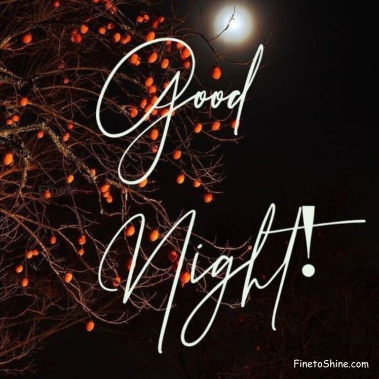 [100+ New] Good Night Images For Whatsapp 2025 - FinetoShine