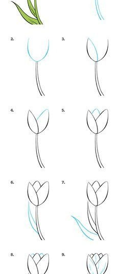 How To Draw A Tulip – Really Easy Drawing Tutorial 2025 - FinetoShine