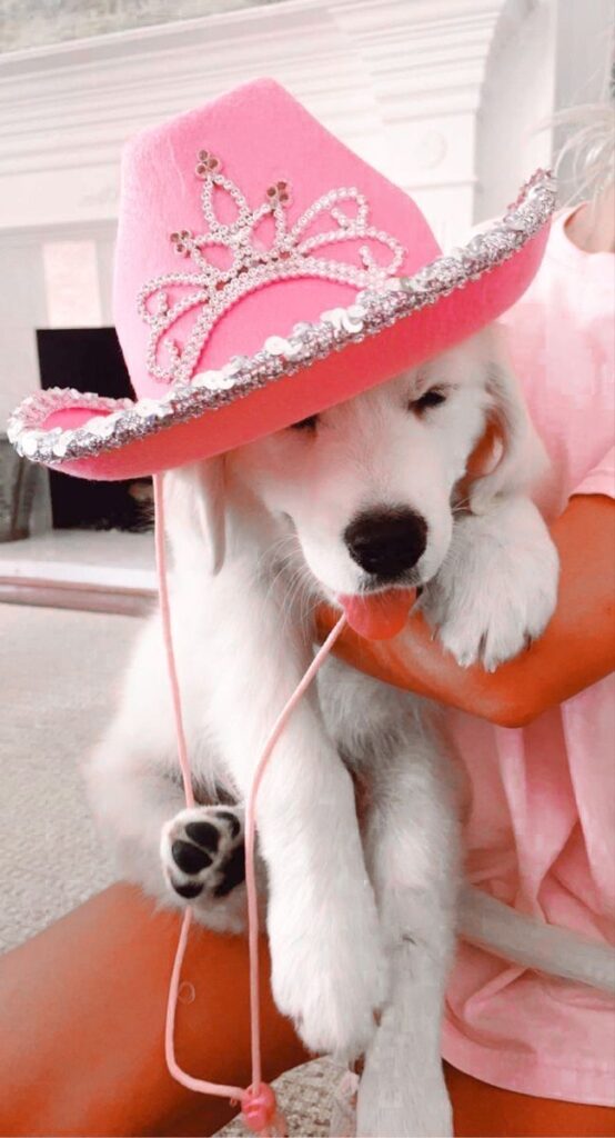 [100+ New] Preppy Profile Pictures 2025 - FinetoShine